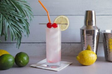The Best Easy Recipe for the Rum Collins Cocktail - Flour Child